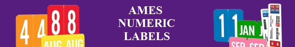 AMES Numeric Labels | FilingSupplies.com